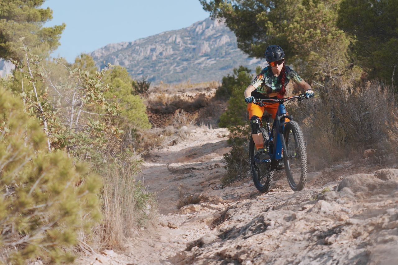 Erfahrungsbericht: Schwalbe Albert Pro RADIAL am Trail